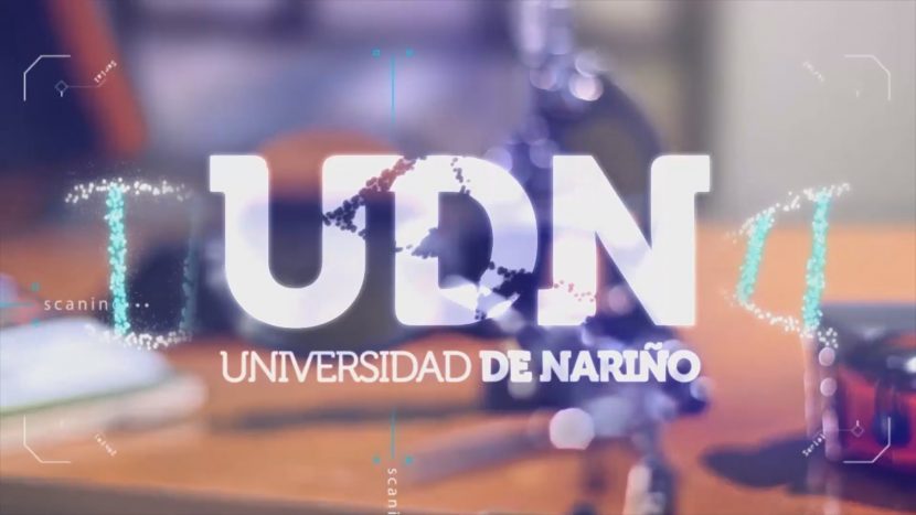 UDN